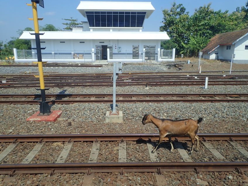 Comment visiter l'île de Java en Indonésie ? - Voyage de miel