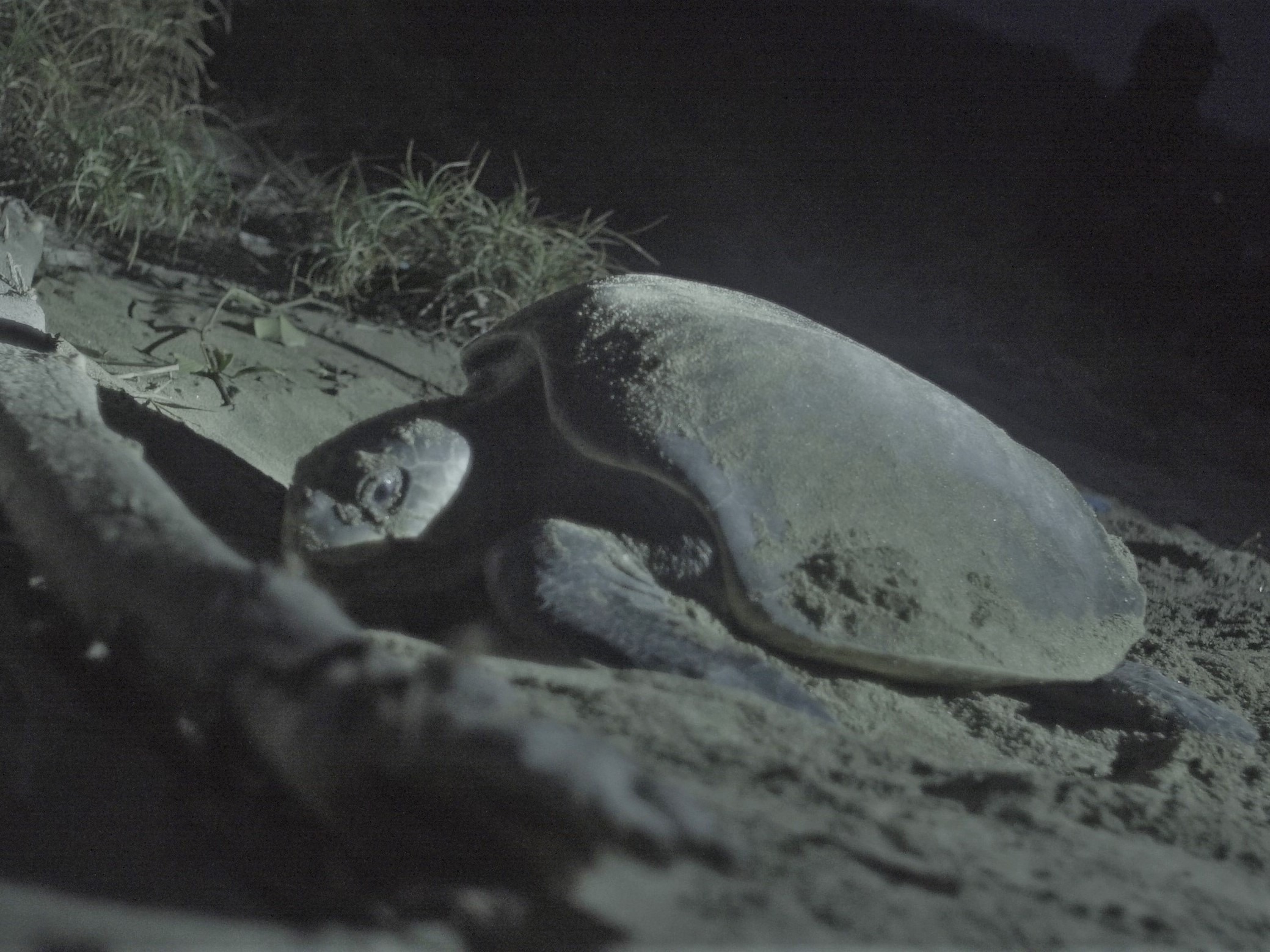 Comment visiter l'île de Java en Indonésie ? - Voyage de miel